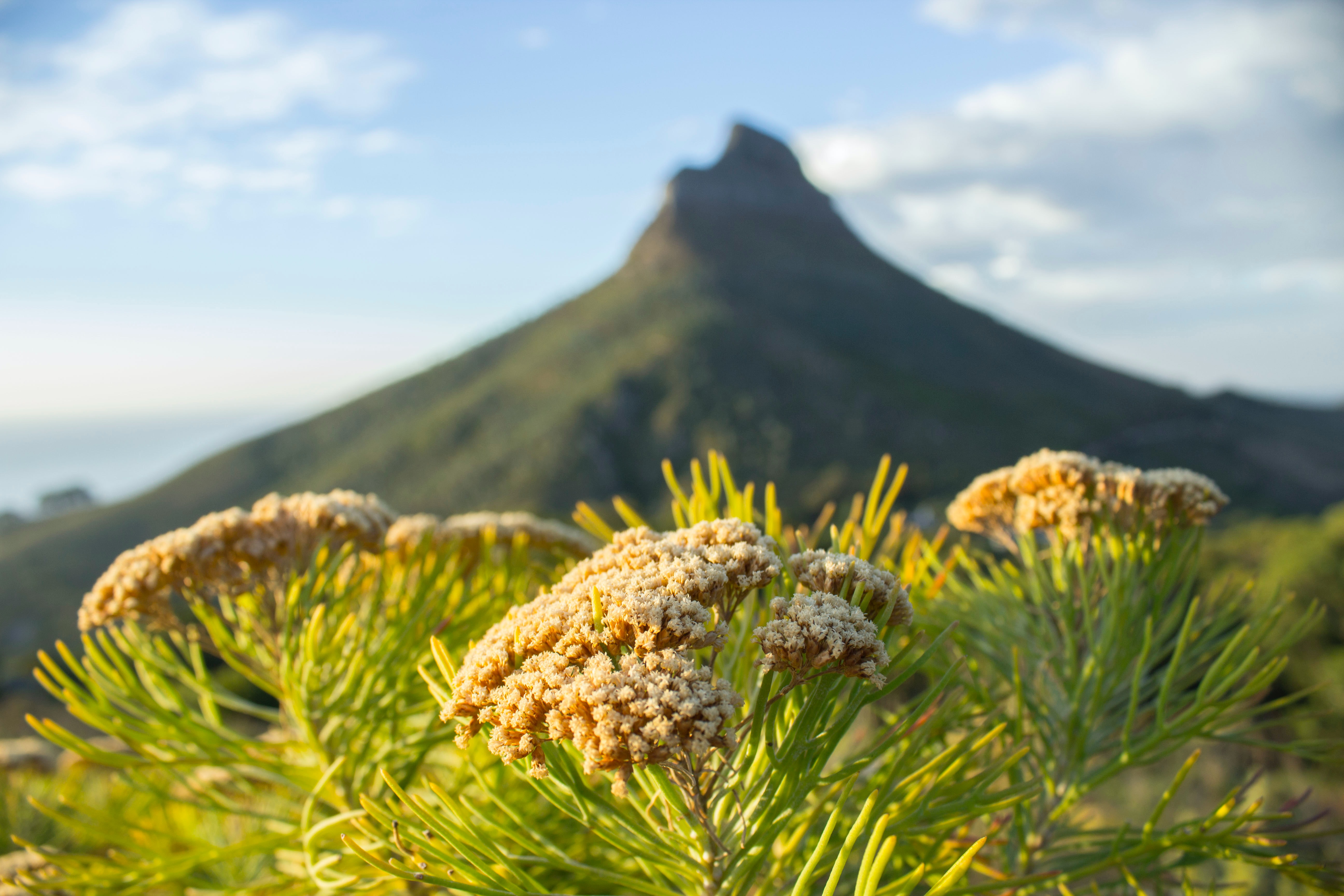 RegionsWithNature | RegionsWithNature launches website